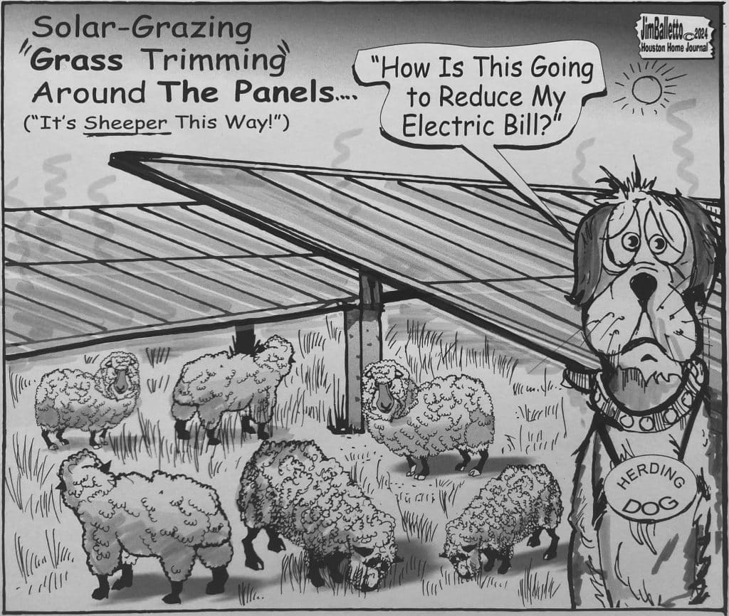 Houston Solar is indeed “Sheeper” and so much more – Houston Home Journal